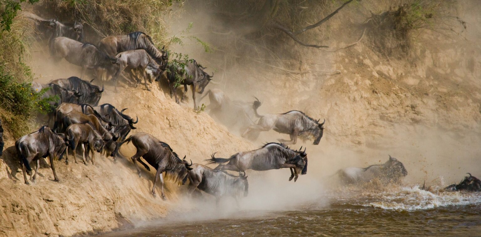 Mount Kilimanjaro Tanzania: Top 10 Fascinating Facts